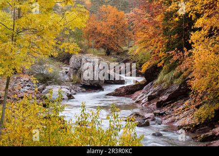 Aragón Subordán river, Selva de Oza, Valley of Hecho, western valleys ...