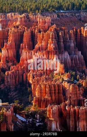April snow; view from Bryce Point; Amphitheater; Bryce Canyon National ...