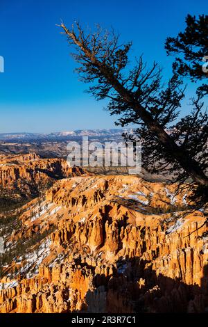 April snow; view from Bryce Point; Amphitheater; Bryce Canyon National ...