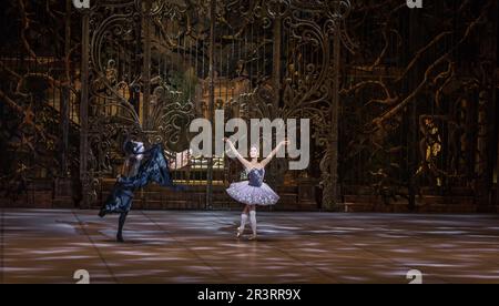 Sleeping Beauty (Berlin State Ballet Stock Photo - Alamy