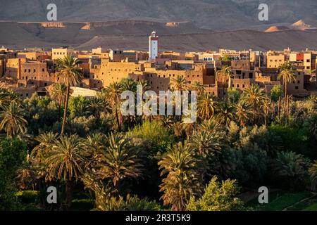 oasis of Tineghir, Draa-Tafilalet, Morocco, Africa Stock Photo - Alamy