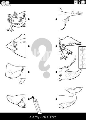 X-ray Fish Animal Coloring Page for Kids Stock Vector Image & Art - Alamy