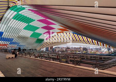 Station concourse, platform with skyline, colourful roof, artist Daniel ...