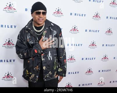 LL Cool J arrives at the 12th annual Sugar Ray Leonard Foundation "Big ...