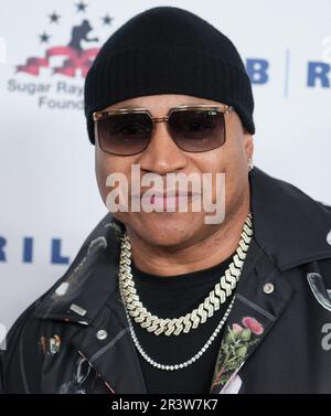 LL Cool J arrives at the 12th annual Sugar Ray Leonard Foundation "Big ...