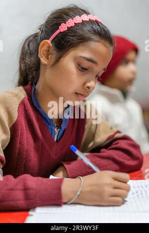 Young Indian girl studying and taking notes in the classroom, learning ...