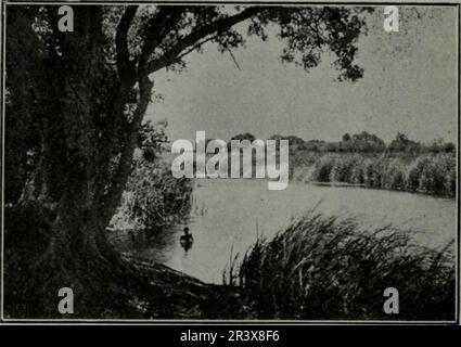 "Western field" (1902 Stock Photo - Alamy