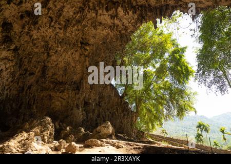 Hobbit Cave or Liang Bua cave, or rats cave, on the island of Flores ...