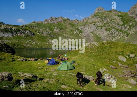 camp on Lac Bersau, Ayous lakes tour, Pyrenees National Park, Pyrenees ...