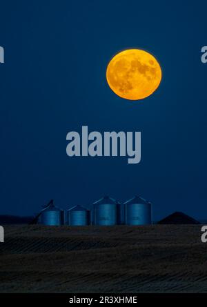 Full Moon Canada Stock Photo - Alamy