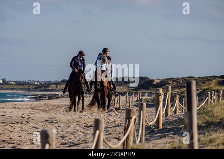 Llevant beach, riding a horse, Formentera, Pitiusas Islands, Balearic ...