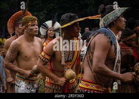 A group of indigenous people wearing ornaments seen dancing and singing ...