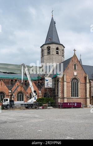 Stekene, East Flemish Region, Belgium - May 21, 2023 - Red and yellow ...