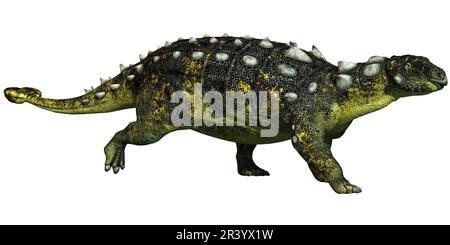 Scolosaurus, an ankylosaurid dinosaur, side view on white background ...