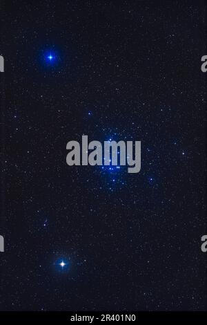 Messier 44, the Beehive Cluster, with stars Asellus Borealis and Asellus Australis Stock Photo ...