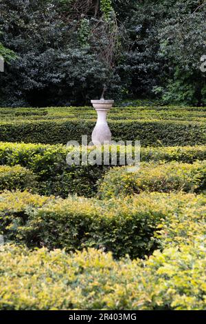 A sundial in the center of the yew maze, at Iveagh Gardens in Dublin ...