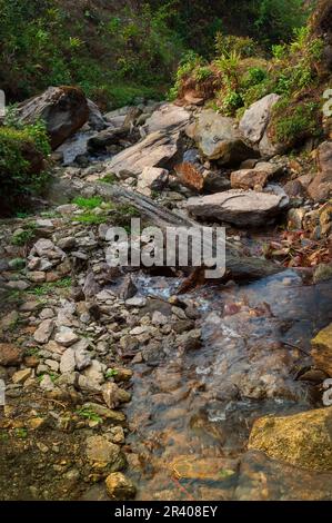 Water flowing downstraem, beautiful waterfall inside Himalayan forest ...