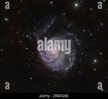Messier 101 - a spiral galaxy in Ursa Major Stock Photo - Alamy