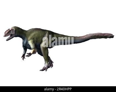 Yutyrannus huali is a feathered tyrannosauroid from the Early Cretacous ...