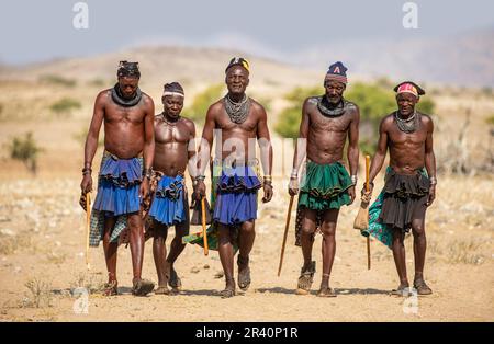 Group of men of the Himba tribe are walking in the desert Stock Photo ...
