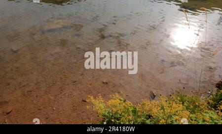 high land mountain lake with crystal clear water, landscape - photo of ...