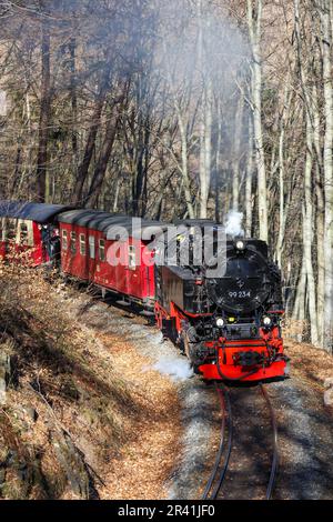Steam train of Brockenbahn railroad steam train portrait format leaving ...