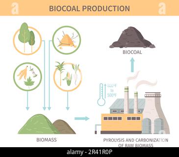 Biocoal production infographics illustration demonstrated sources of ...