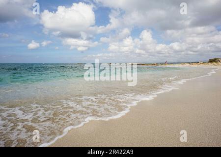 Seashells background. Mallorca, Balearic islands, Spain in July Stock ...