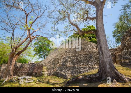 Pyramide in Belize Stock Photo - Alamy