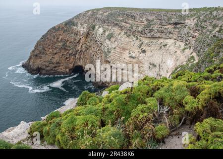 The jagged coastal cliffs of Santa Cruz island part of the Channel ...