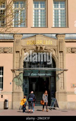 Aquarium, Olof-palm tree-Platz, Tiergarten, Berlin, Germany Stock Photo ...