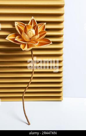 Dried lotus flower crafting from fruits shell. DIY home decorating ...