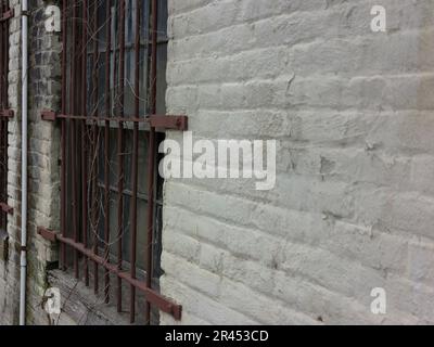 An aged, metal window frame is featured in this image, with its ...