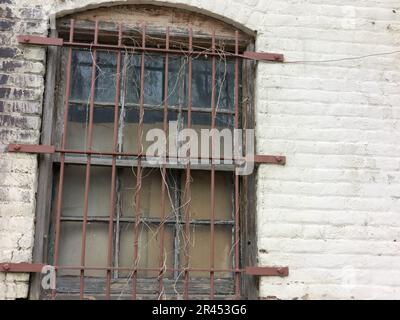 An aged, metal window frame is featured in this image, with its ...