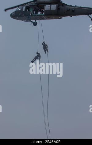 Soldiers rappel from a Black Hawk during the Army Best Medic ...