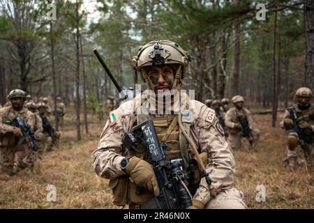 United Arab Emirates soldiers from the 11th Mountain Battalion bound in ...