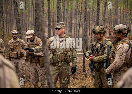 Leaders from throughout the 10th Mountain Division Sustainment Brigade ...
