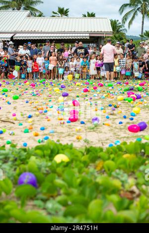 pacific missile range, PMRF, Sailors, Sea turtle Stock Photo - Alamy