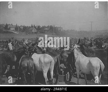 US government military corral in north Seattle showing group of men ...