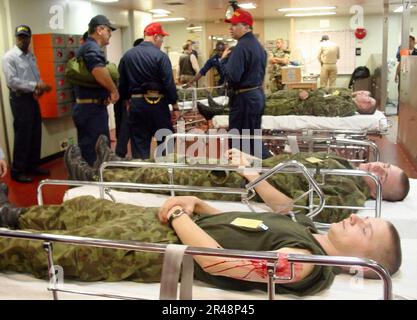 U.S. Navy Doctors, Nurses and Corpsmen Treat COVID Patients in the ICU ...