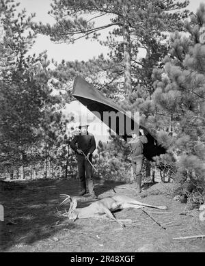 Hunting in the Adirondacks, Deer hunting, Dead animals, Mountains ...