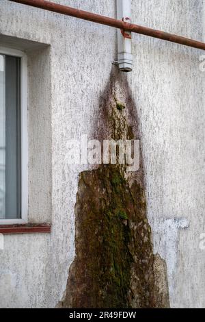 Mold on walls of building outside, humid tropical climate, damage wall ...