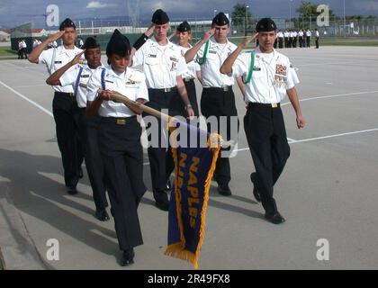 US Navy Naval Junior Reserve Officers Training Corps (NJROTC) Petty ...