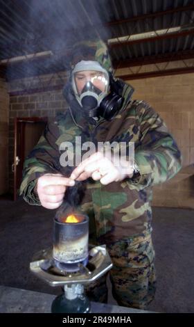 US Navy Marine advisor to Naval Mobile Construction Battalion Two Three ...