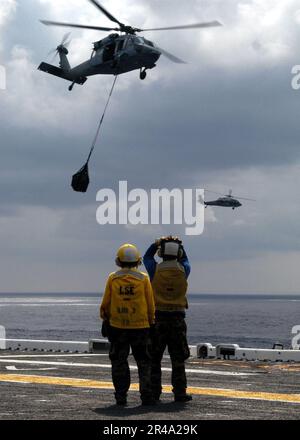US Navy Aviation Boatswain's Handler Third Class Richard E. Campbell ...