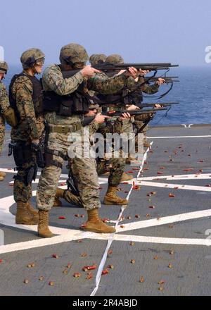 U.S. Marines assigned to Fleet Anti-terrorism Security Team Company ...