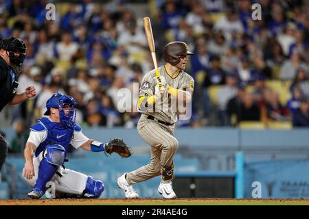 San Diego Padres catcher Brett Sullivan looks on during the first ...