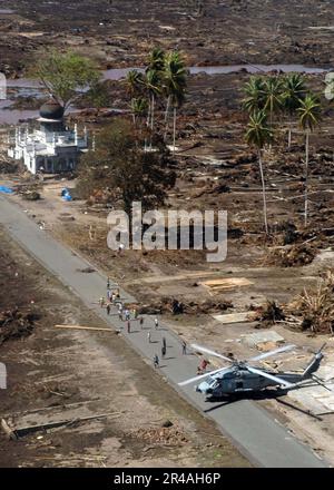 A SH-60B Seahawk helicopter lands on the deck of a ship. Country ...