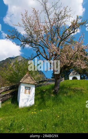 Way of the Cross, Bad Hindelang, Allgaeu, Bavaria, Germany Stock Photo ...