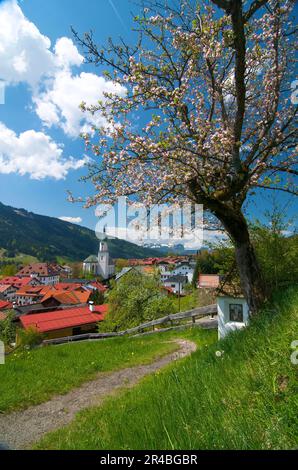 Way of the Cross, Bad Hindelang, Allgaeu, Bavaria, Germany Stock Photo ...